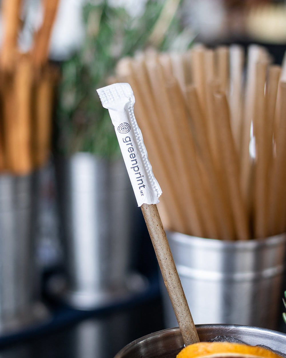 Worlds #1 Supplier of Agave Straws & Biodegradable Foodware
